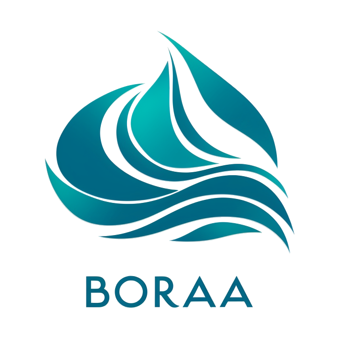 Login | Boraa